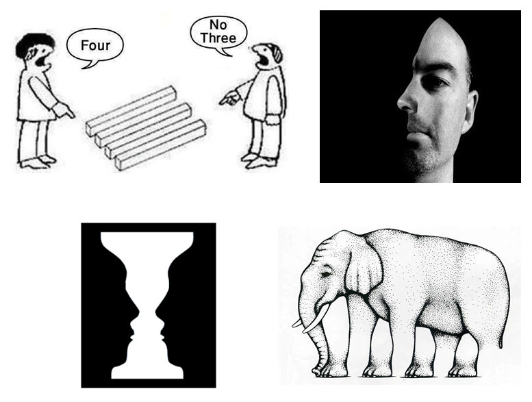 Your SharePoint Perception – Views from Veronique