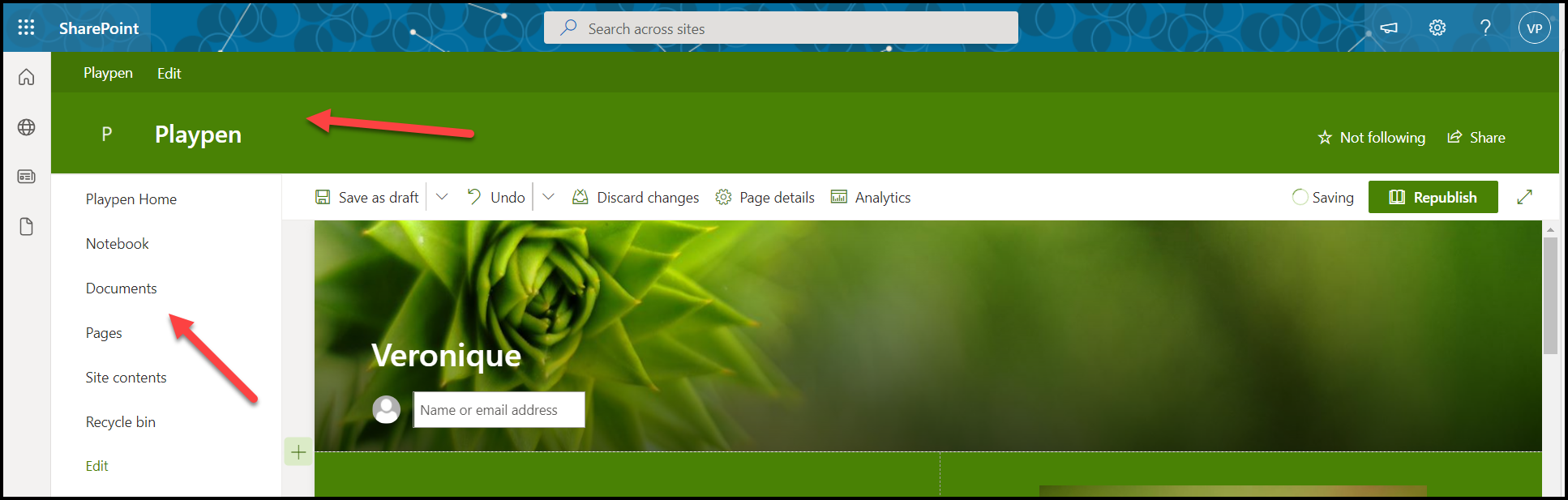 New Experience When Editing Modern SharePoint Pages – Views from Veronique